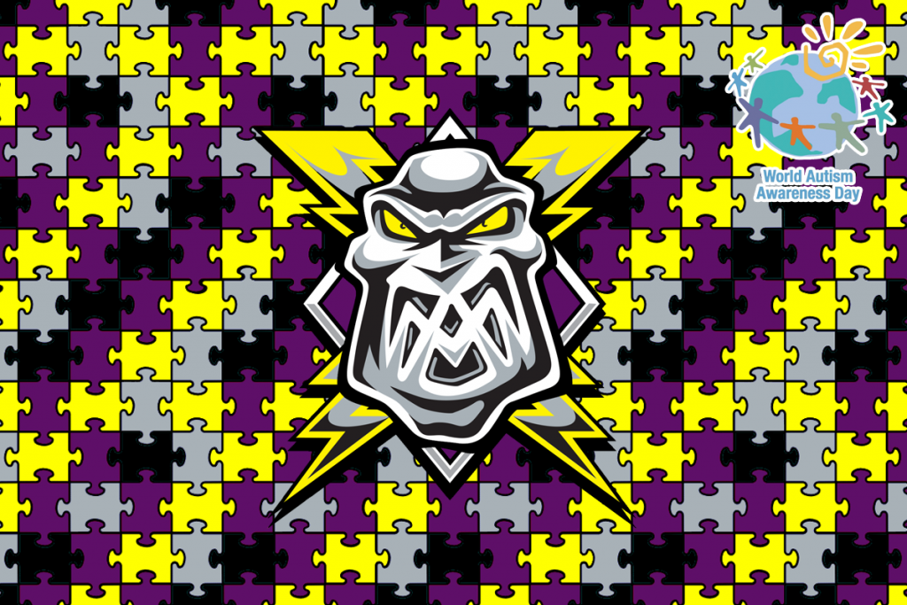 Special Puck Drop On Sunday! – Manchester Storm